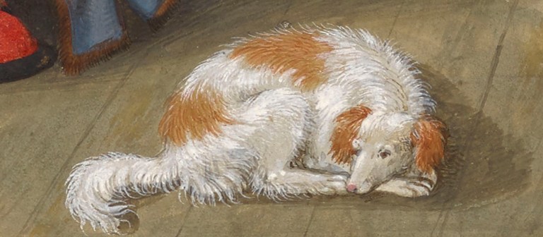 THE MEDIEVAL DOGGIE AND EVERYTHING YOU EVER WANTED TO KNOW ABOUT THEM ...